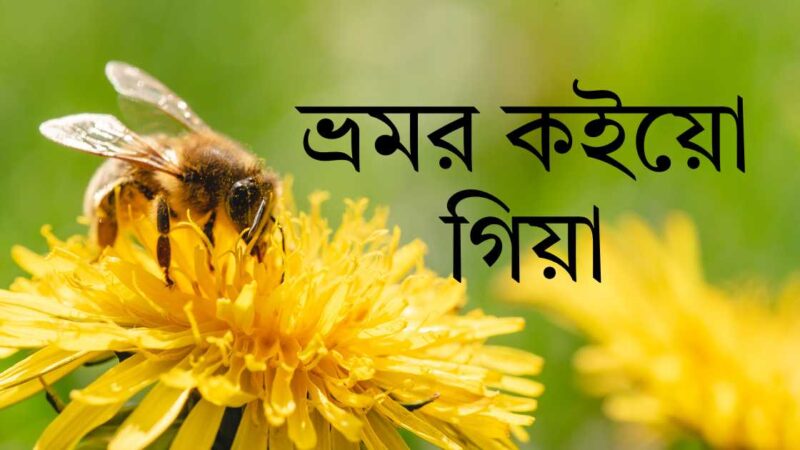 ফিরিয়ে দাও লিরিক্স | Phiriye Dao Lyrics | নিঃস্ব করেছো আমায় লিরিক্স ...